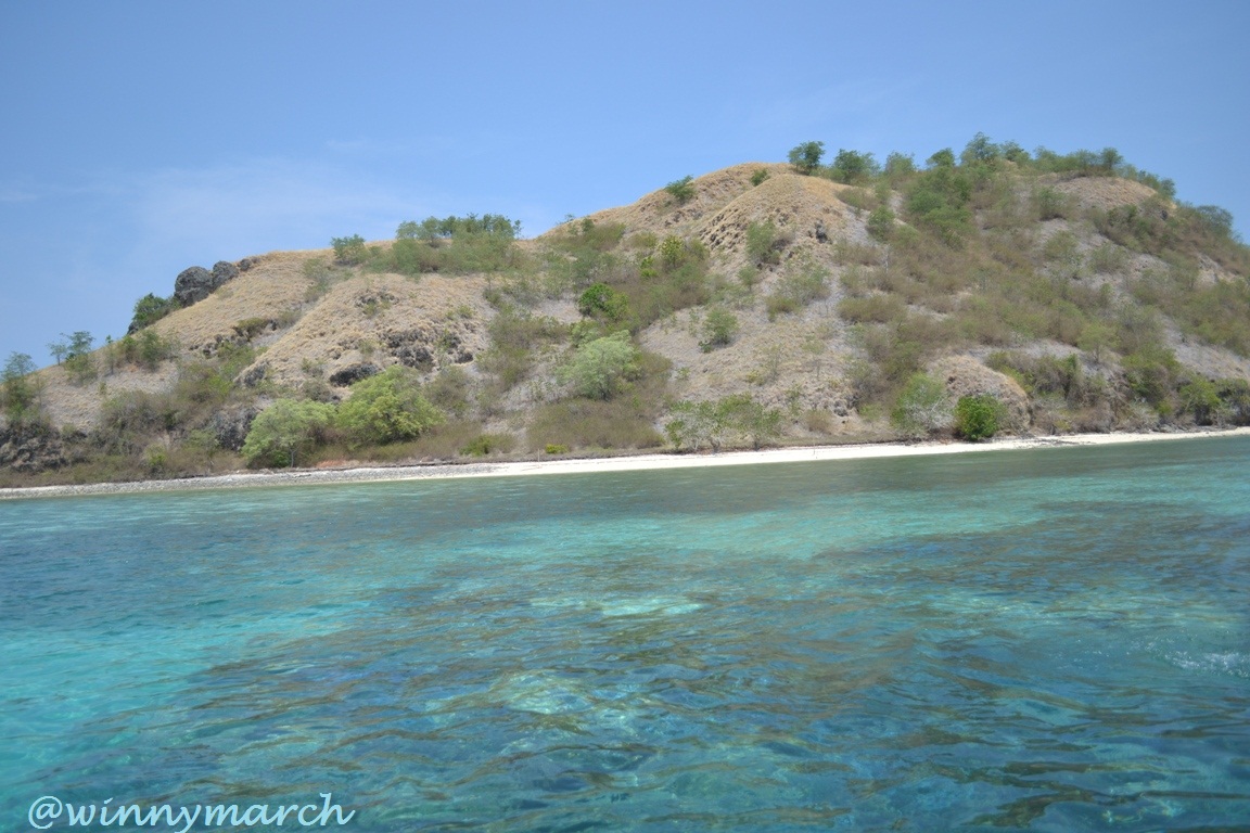 Serunya Snorkeling di Pulau Tiga “Riung” NTT – Winny Marlina