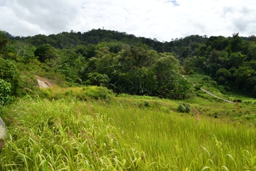 alam indonesia – Winny Marlina