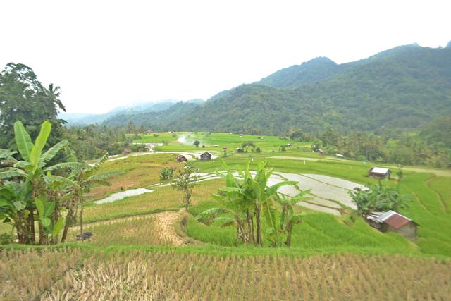 Memenuhi Janji di Desa Terindah Dunia, Pariangan, Sumatera Barat ...