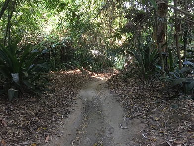 Trekking Ampang river waterfalls – Winny Marlina